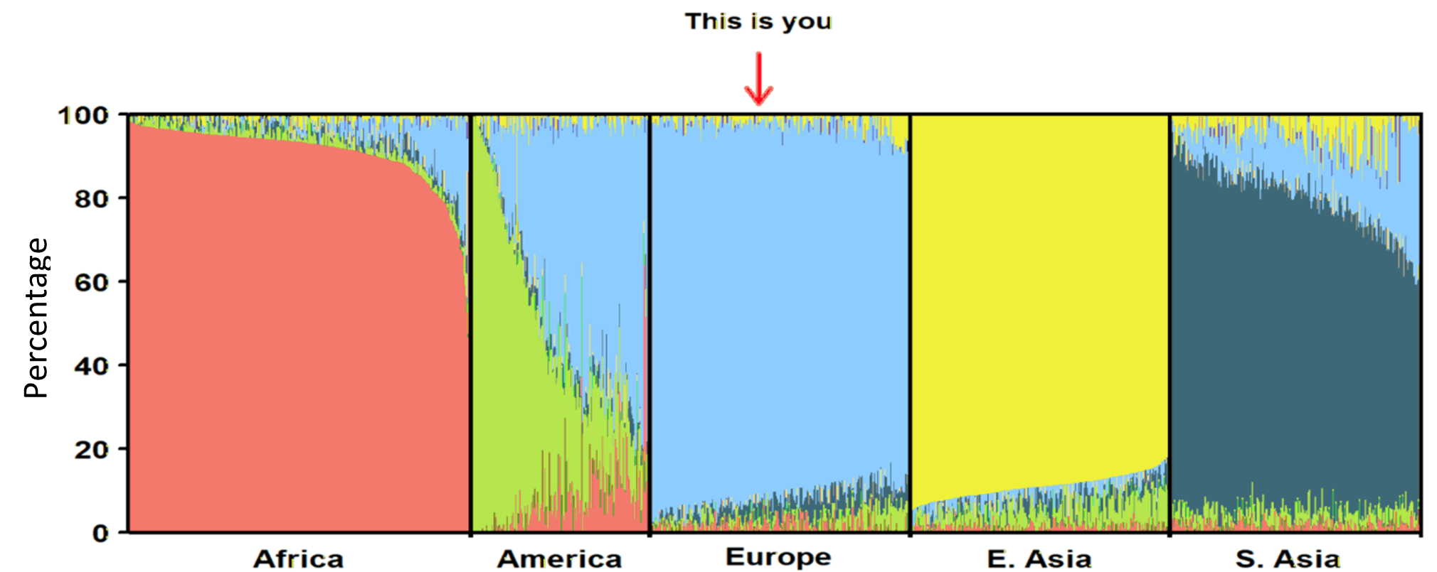 Ancestry: Your ancestry composition | Blog ADNTRO