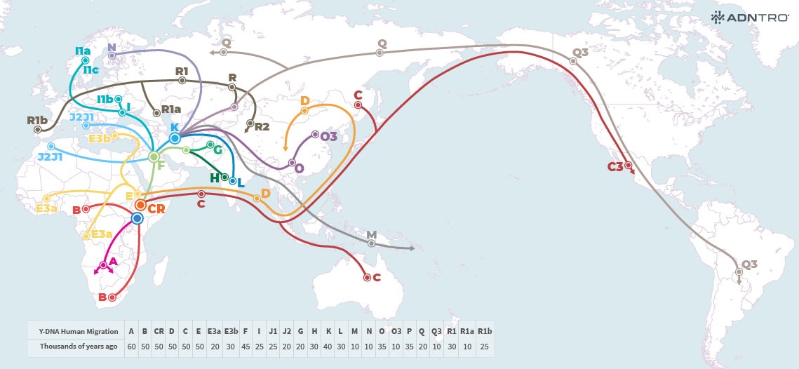 Haplogrupos: La huella de un gran viaje | ADNTRO