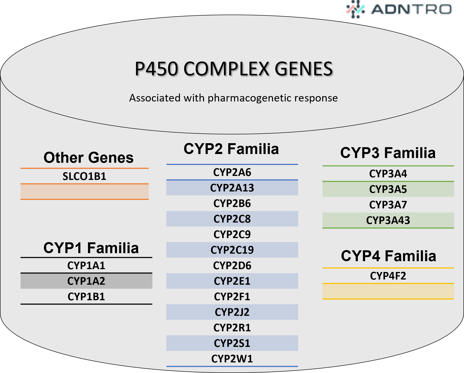 Clinical recommendations in pharmacogenetics