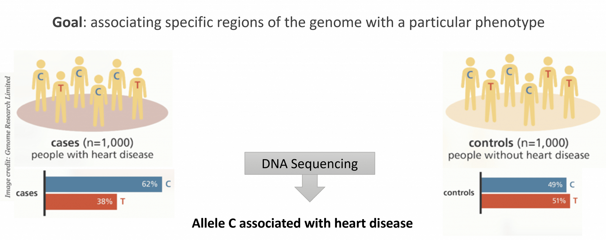 Main concepts of genetics | DNATRO